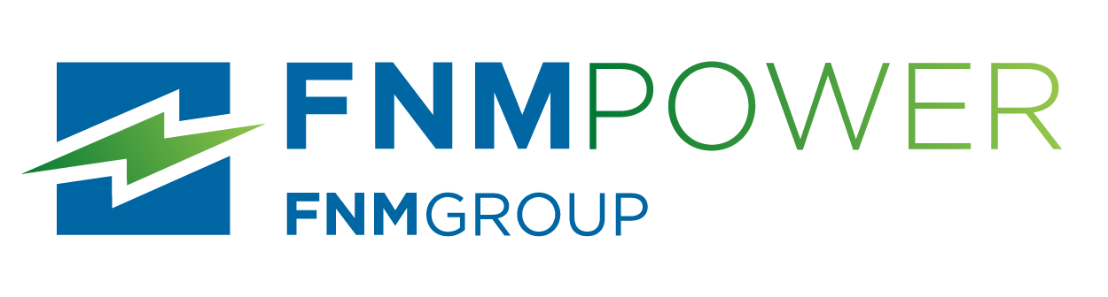 IL GRUPPO - FNM Group